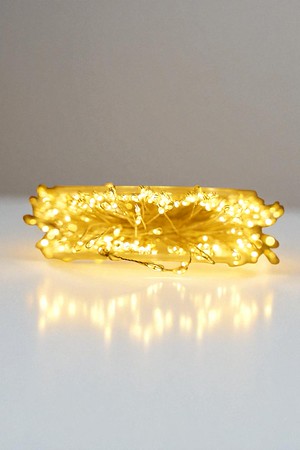 25' Mini Led Lights 250– Casa Febus | Home • Design