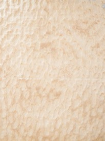 5" x 6" Chic Rug Lt. Cream– Casa Febus | Home • Design