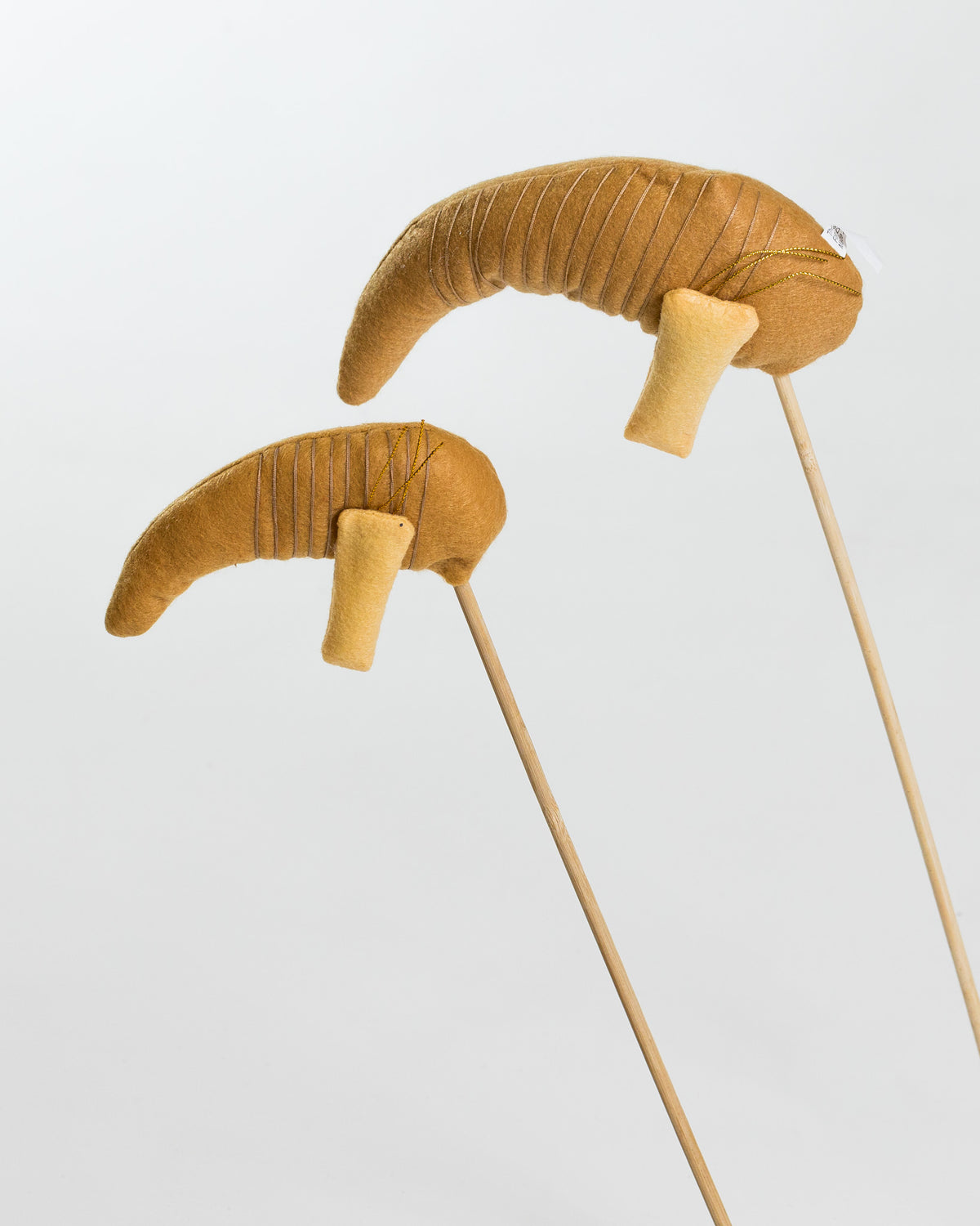 Jíbaro Tree– Casa Febus | Home • Design