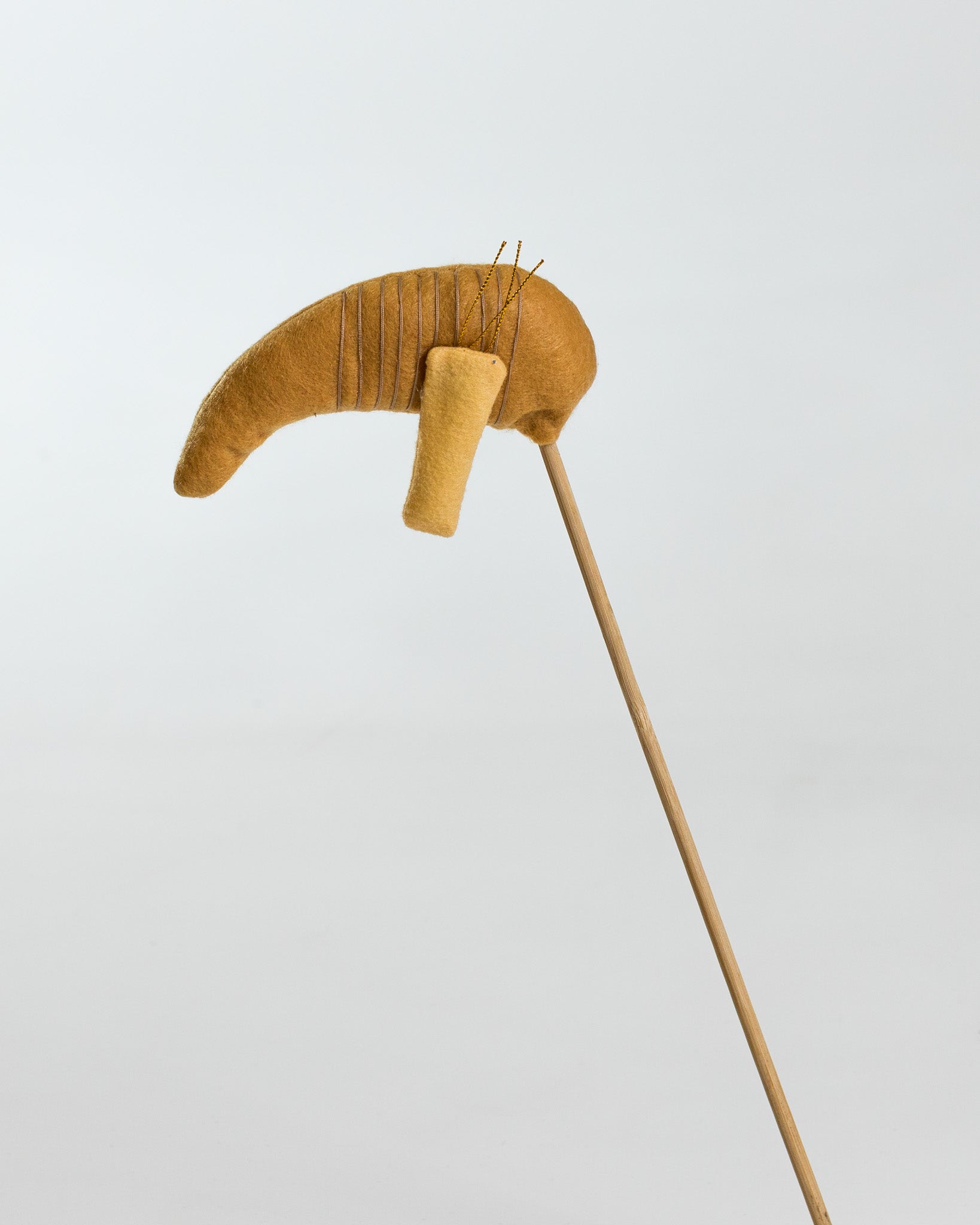 Jíbaro Tree– Casa Febus | Home • Design