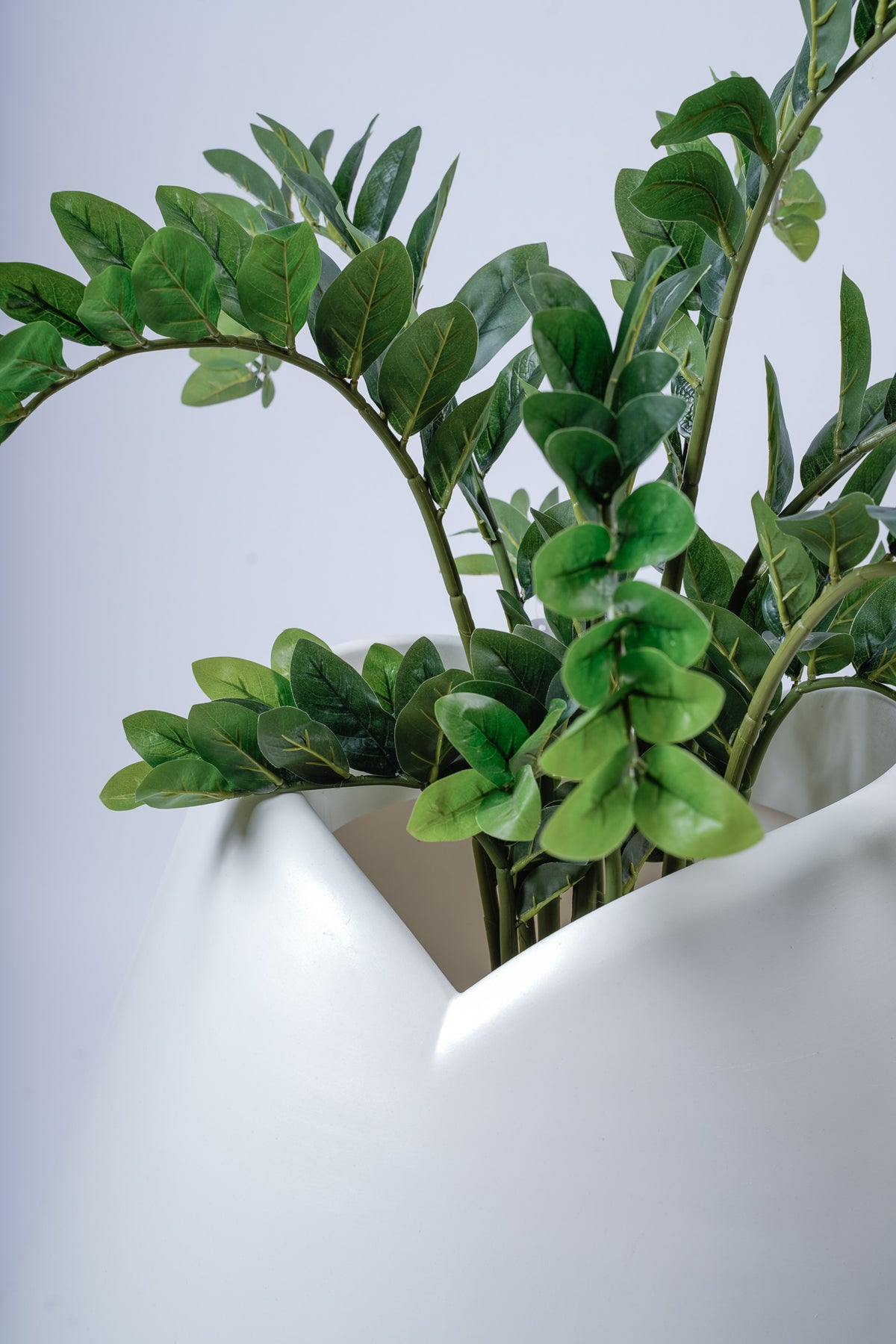 Casa Febus | Decoración para su hogar, hermoso todo el año– Casa Febus ...