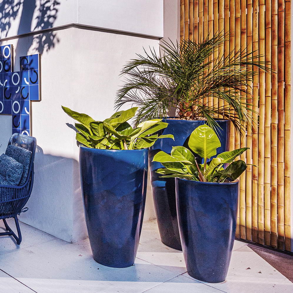 Casa Febus | Decoración para su hogar, hermoso todo el año– Casa Febus ...